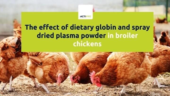 The effect of dietary globin and spray dried plasma powder in broiler ...